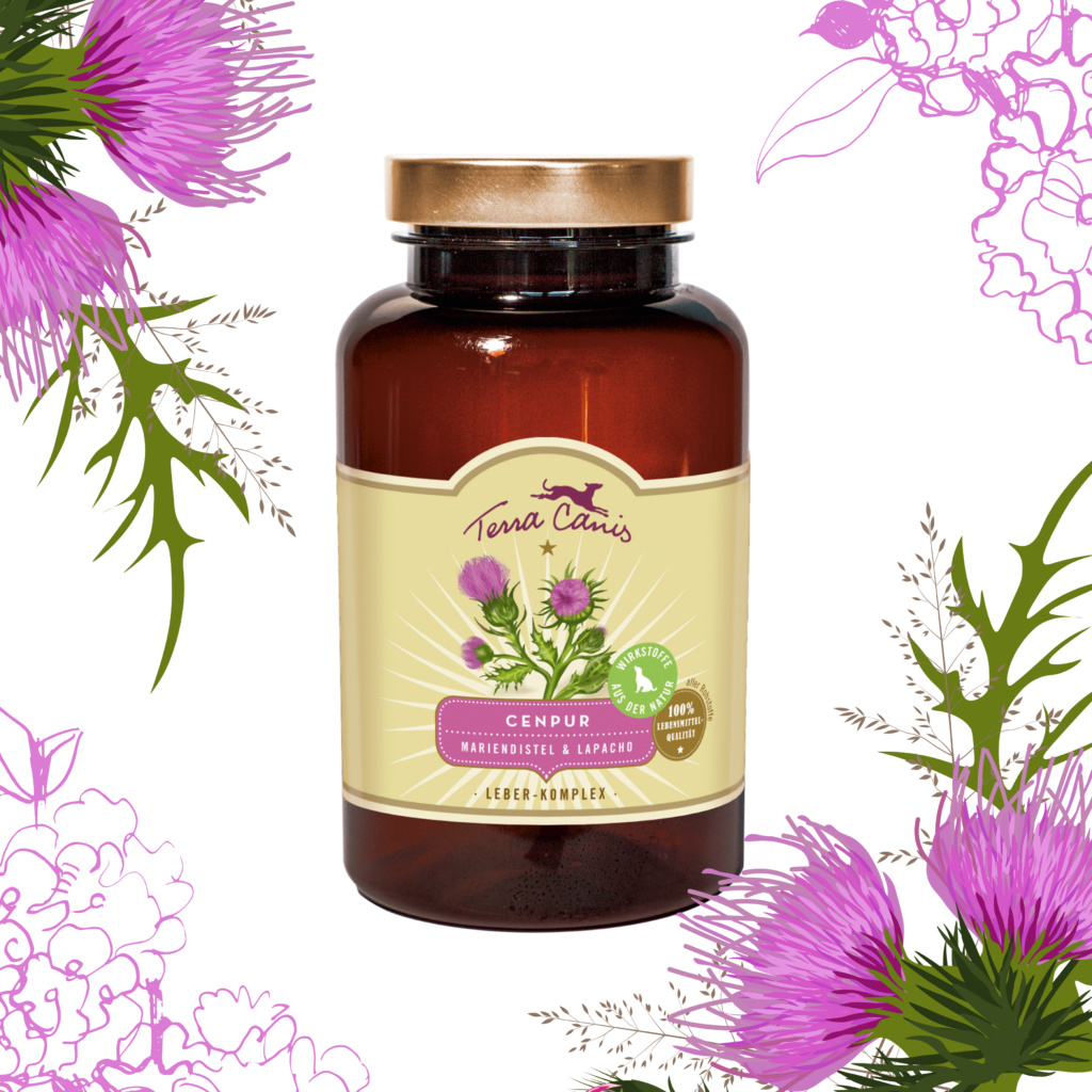 Complexe pour détox du foie – chardon-marie et lapacho (190 capsules ...